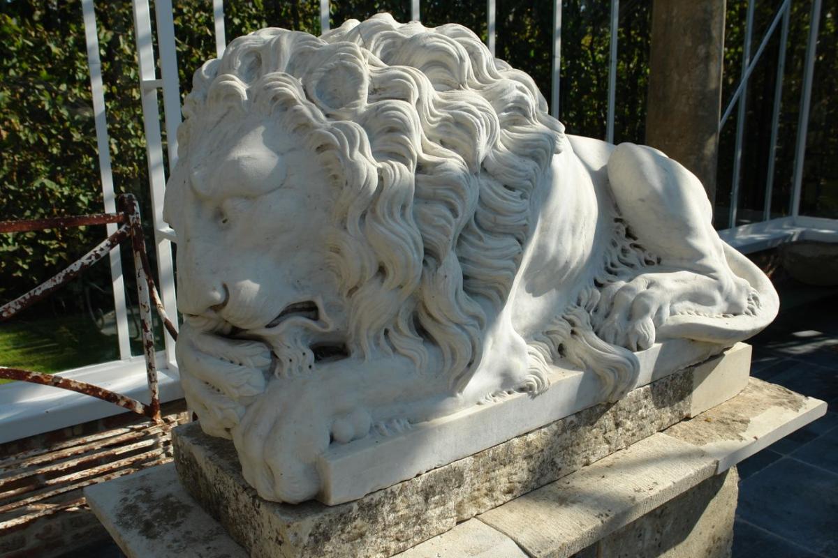 SRCEPARAJUĆE: Gipsani lav prepoznao gazdu koji se posle 20 godina ...